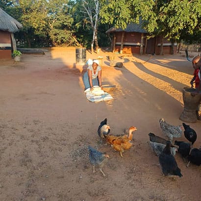 Authentic Traditional Village Tour – A Heartwarming Cultural Experience ...