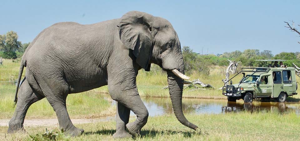 9 Days Botswana Classic Safari - Africa Travel Tours